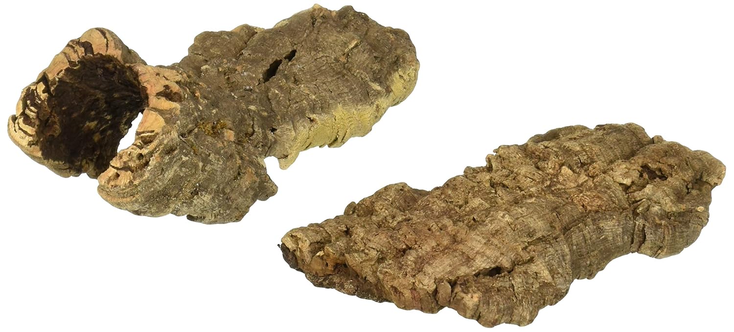 Tarantula Hides: What They Are & Why They’re Important + DIY Tips