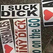 Amazon.com: NEW rude BUMPER STICKERS prank funny offensive 8 MAGNETIC ...