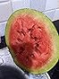Fresh Water Melon - Kiran, 1 Pc : Amazon.in: Grocery & Gourmet Foods