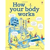 How Your Body Works (Children's World Series): Hindley, Judy, Rawson ...