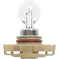 Amazon.com: Philips 12276C1 Premium PSX24W Headlight Bulb (Pack of 1 ...