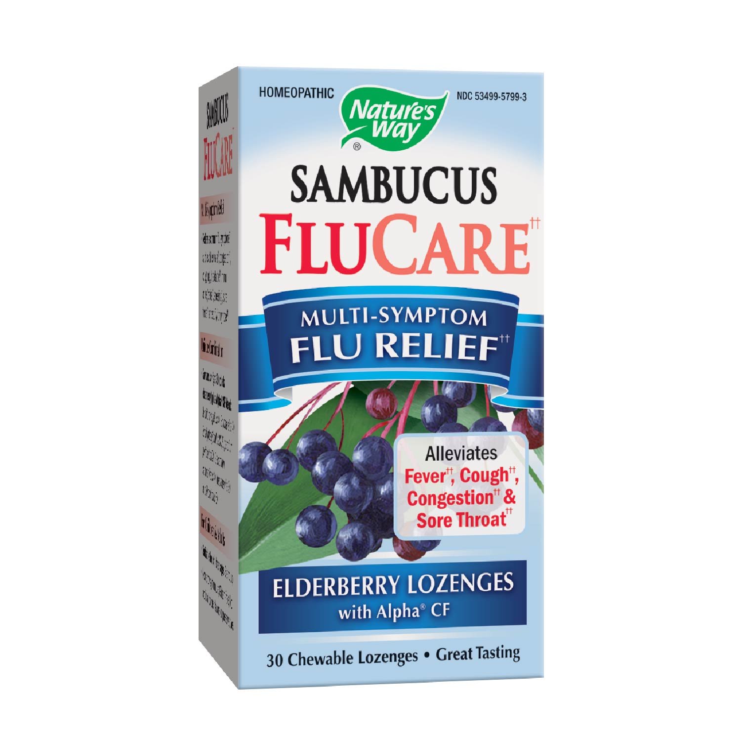 Amazon.com: Sambucus FluCare 120 mL (4 fl oz): Health & Personal Care
