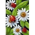 Amazon.com: DIY Diamond Painting Kits Ladybug Daisy - Spring Nature ...