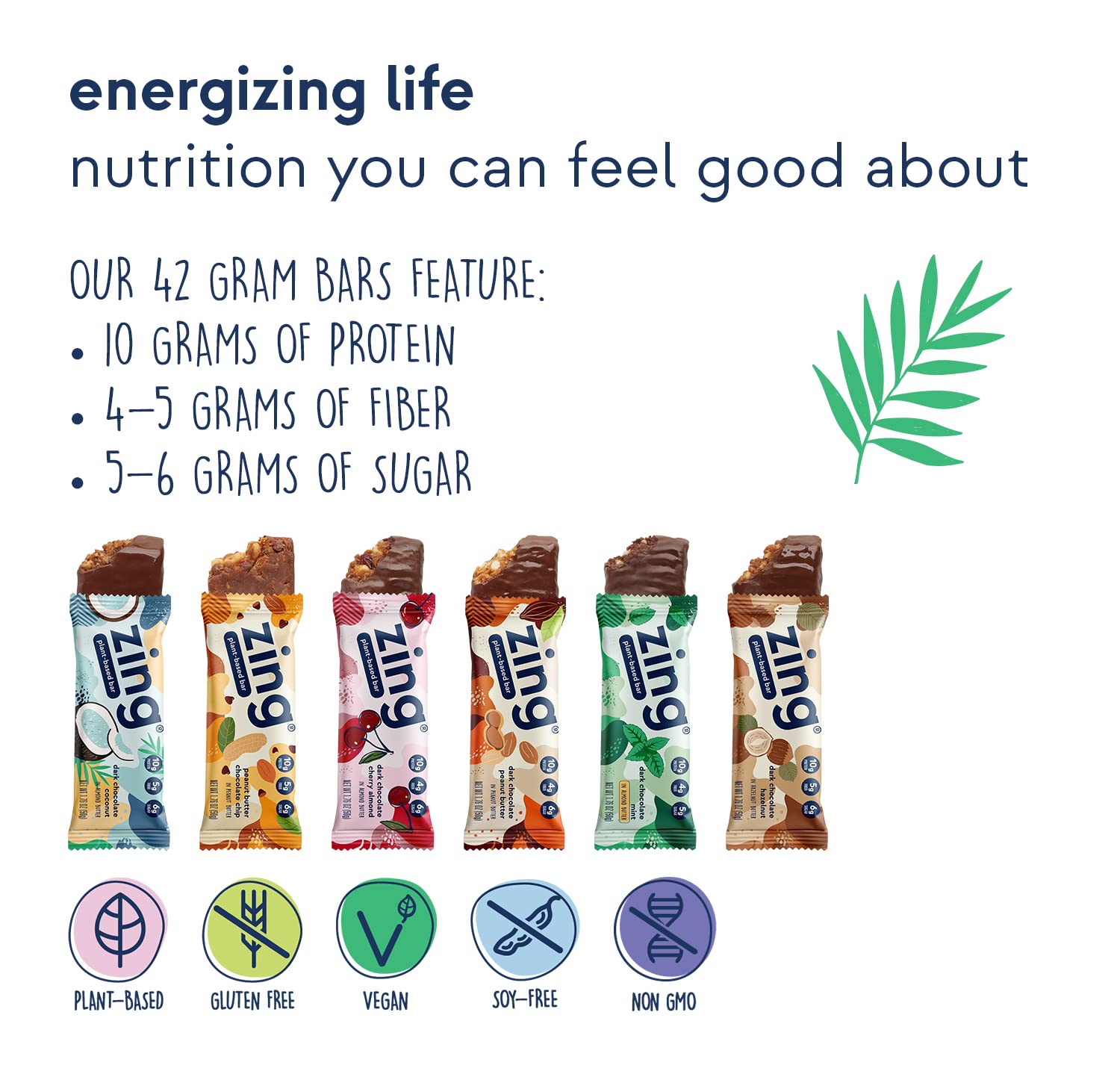 Mua Zing Variety Pack, Vegan Protein Bars, Gluten Free with High ...