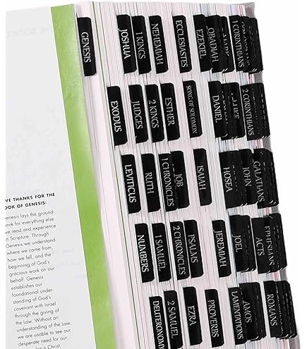 Religious Organization Tabs Catholic Catechism Index Tabs - Color Coded ...
