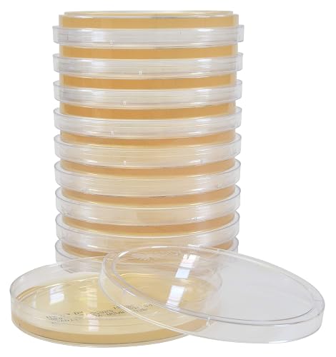Hardy Diagnostics G60 Tryptic Soy Agar (TSA), 15 x 100 mm Plate (Pack ...