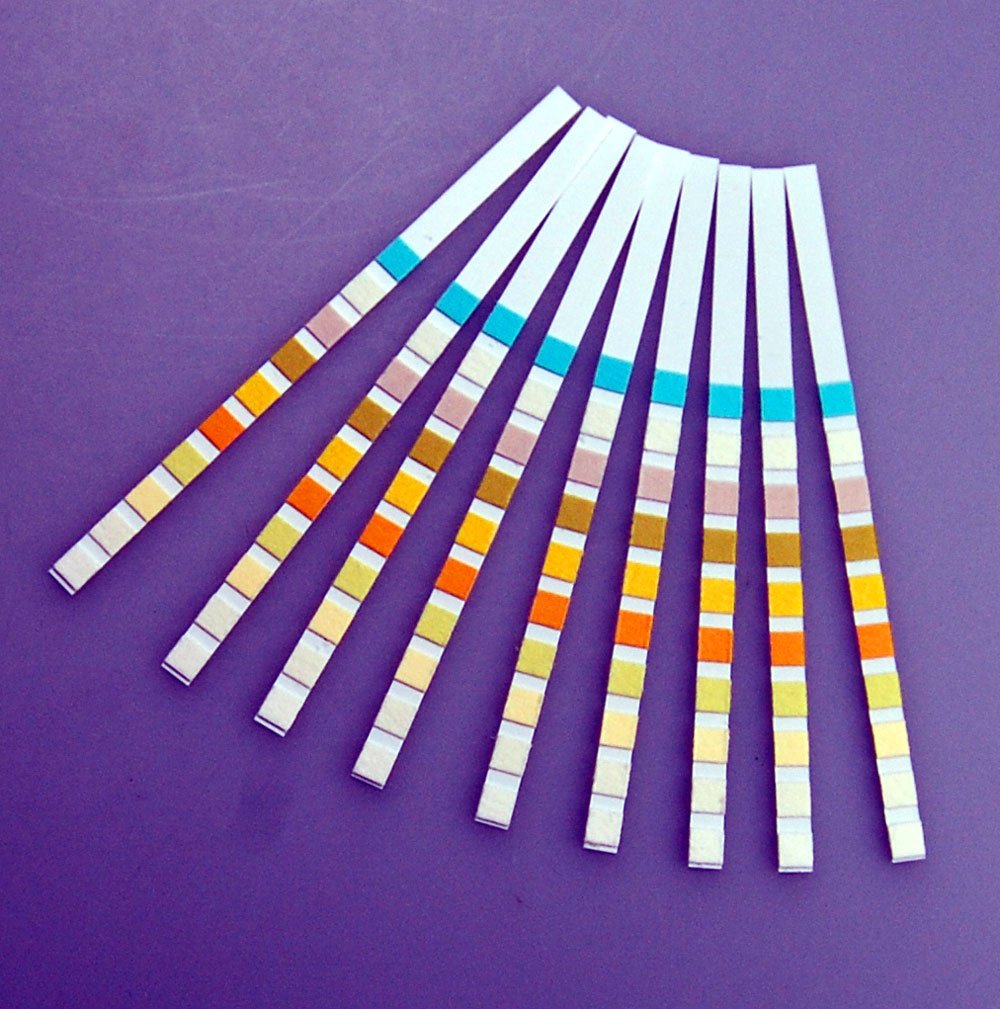 Mission 10 Parameter Professional / GP Urinalysis Multisticks Urine ...