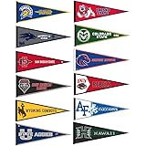 Amazon.com : Conference USA College Pennant Set : Sports Related ...