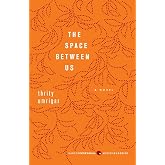 The Space Between Us: A Multilayered Novel of Honor, Tradition, and ...