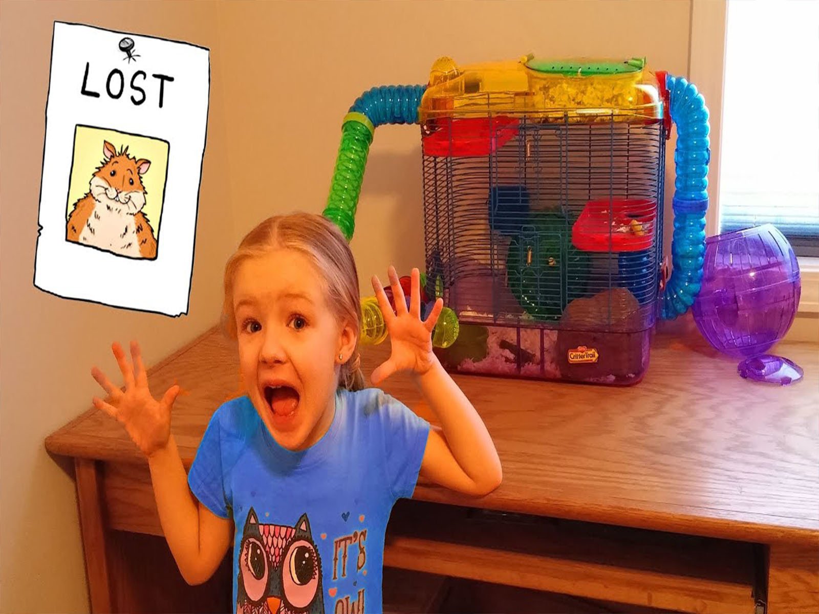 Watch Trinity and Beyond | Prime Video