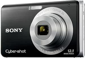 Amazon.com : Sony Cybershot DSC-W190 12.1MP Digital Camera with 3x Super Steady Shot Stabilized ...