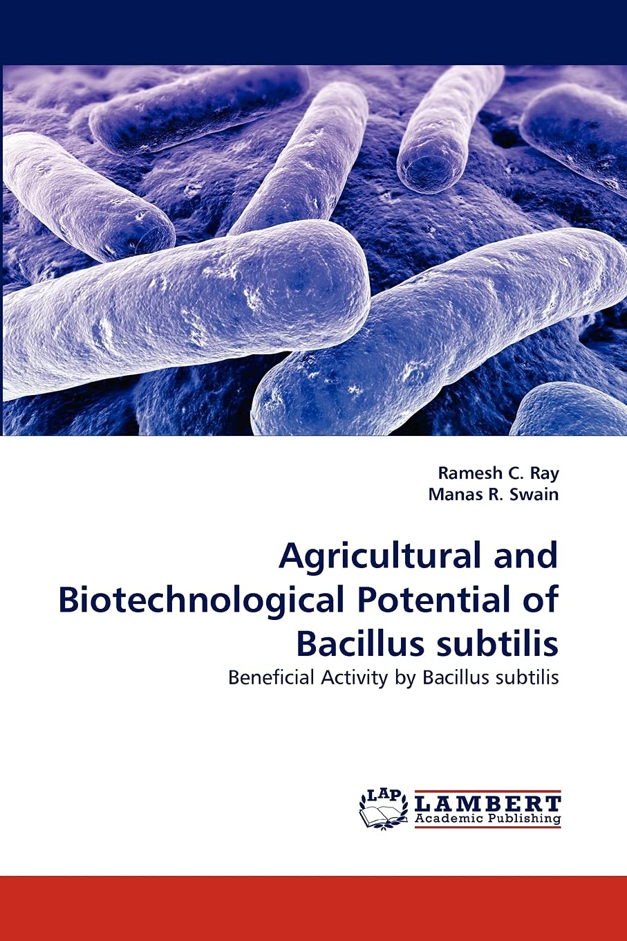 Bacillus Subtilis Characteristics