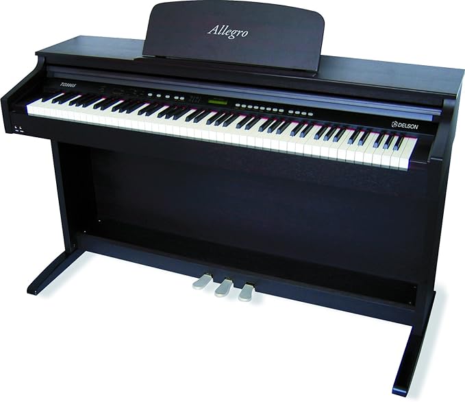 Allegro 8865: Amazon.fr: Instruments de musique