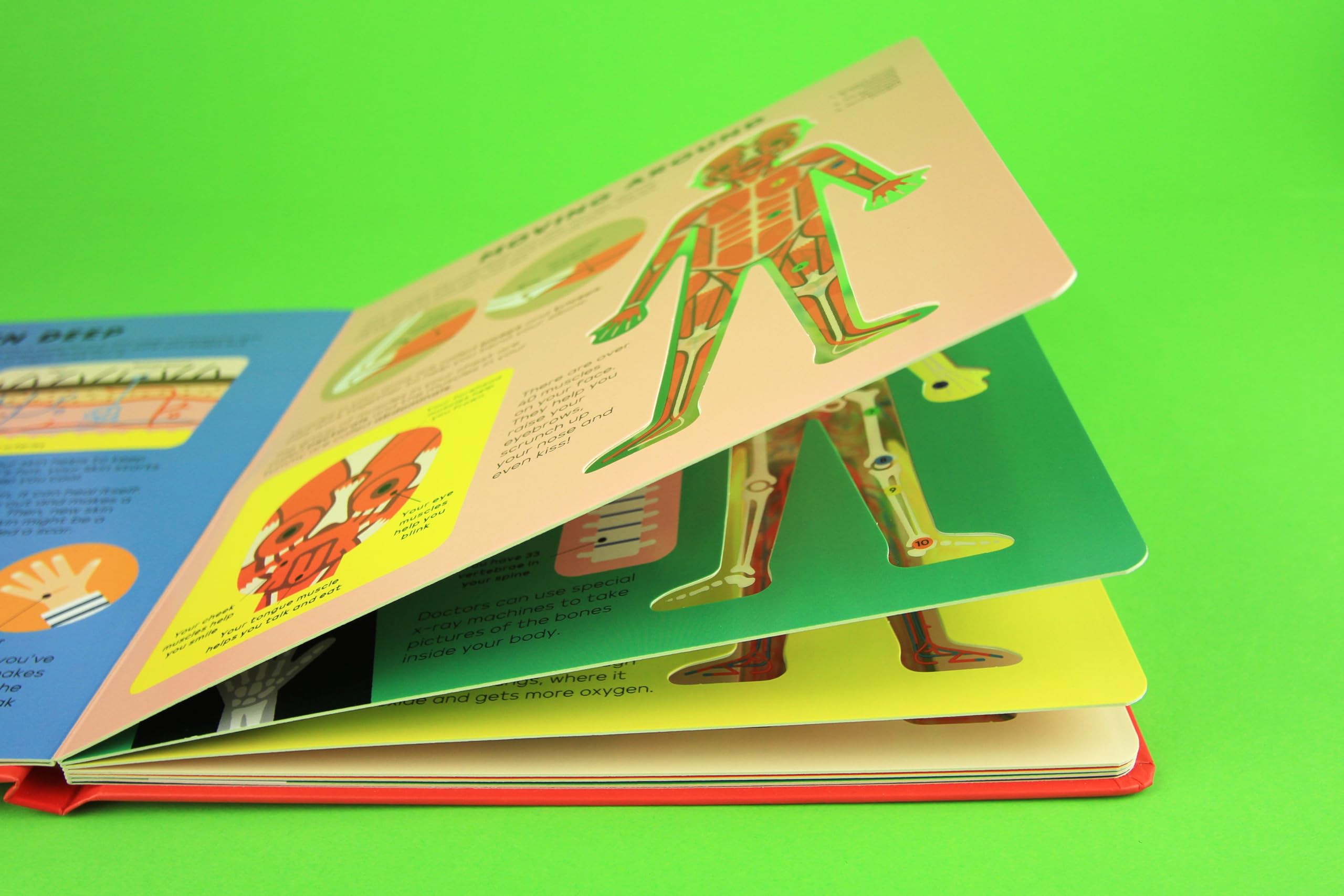 Mua The Body Book: Look inside the human body with amazing SEE-THROUGH ...