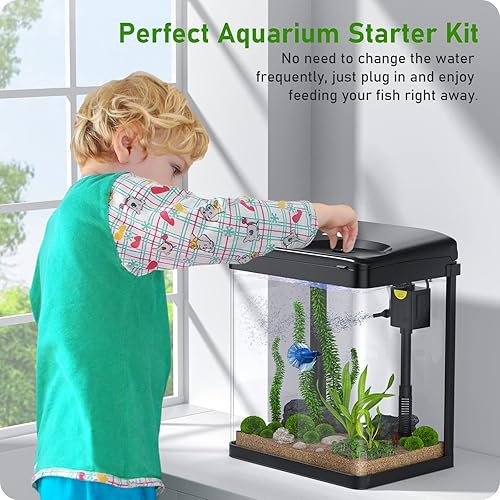 Small Fish Aquarium Kits