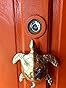 Large Solid Brass Sea Turtle Doorknocker - Amazon.com