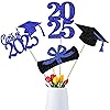 24Pcs Blue 2025 Graduation Centerpiece Sticks, Graduation Party Centerpieces for Tables 2025 ...