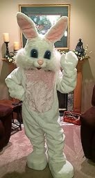 Amazon.com: Rubie's Costume Premium Rabbit Mascot Costume White, White ...