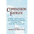 Compassion Fatigue (Psychosocial Stress Series): 9780876307595 ...