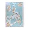 HISTORIX 1990 Map of the Philippines - 18x24 Inch - Philippine Islands ...