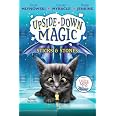 Sticks & Stones (Upside-Down Magic, 2): Mlynowski, Sarah, Myracle ...