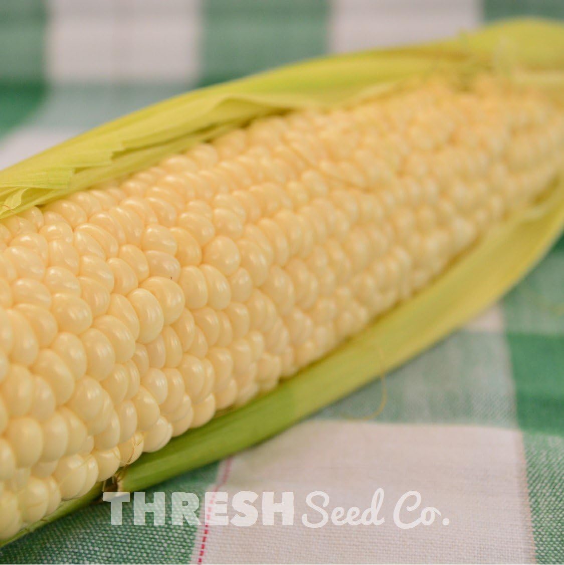 Amazon.com : Country Gentleman Sweet Corn - 50 Seeds : Garden & Outdoor