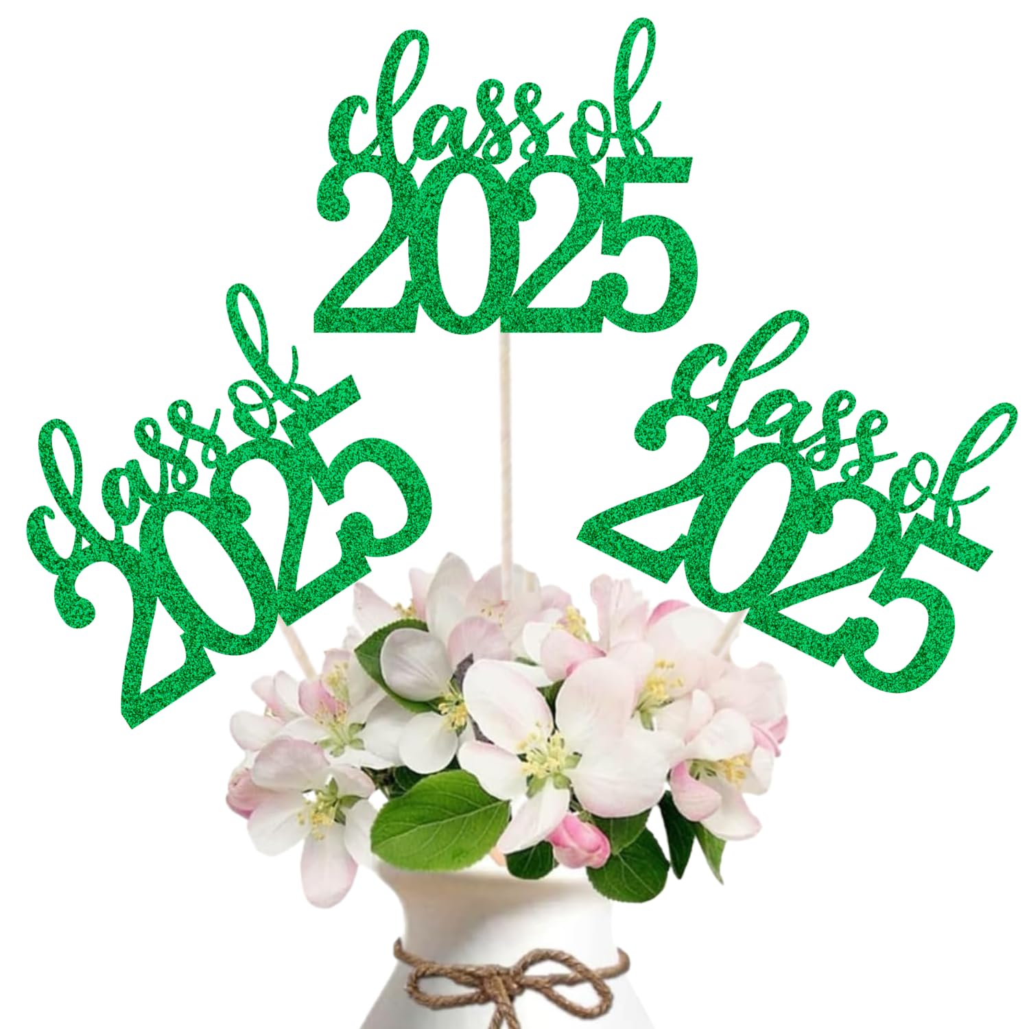 ALISSAR 12 Pack Pre-assembled Double Sided Class of 2025 Graduation ...