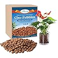 Amazon.com: Riare 14 LBS Organic Expanded Clay Pebbles for Plants- 4mm ...