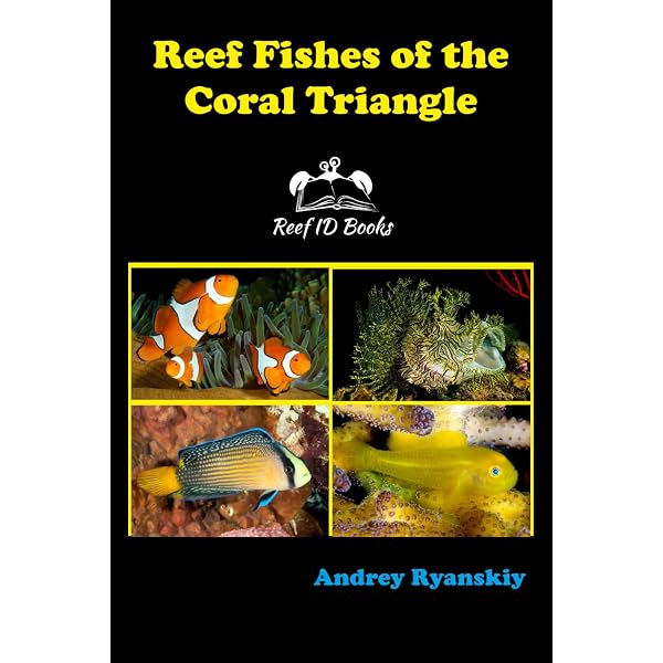 Indian Ocean Fish Guide