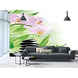 Amazon.com: Japanese Art Print - Hachirogata Lake, Akita, at Night ...