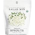 Amazon.com : Organic Salad Mix Sprout Seeds (16 oz) – Non-GMO, Heirloom ...