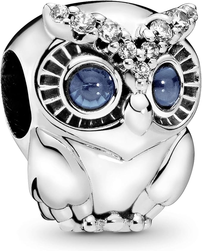 Amazon.com: Pandora Jewelry Sparkling Owl Cubic Zirconia Charm in ...