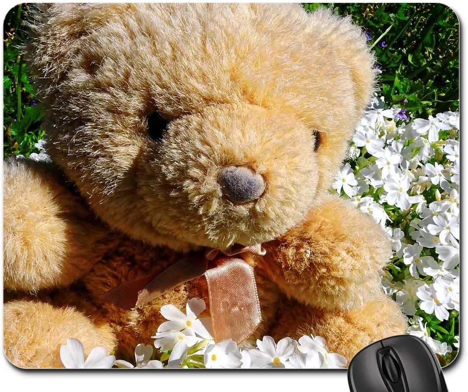 Amazon.com : Mouse Pad - Teddy Bear Teddy Soft Toy Stuffed Animal Bears ...