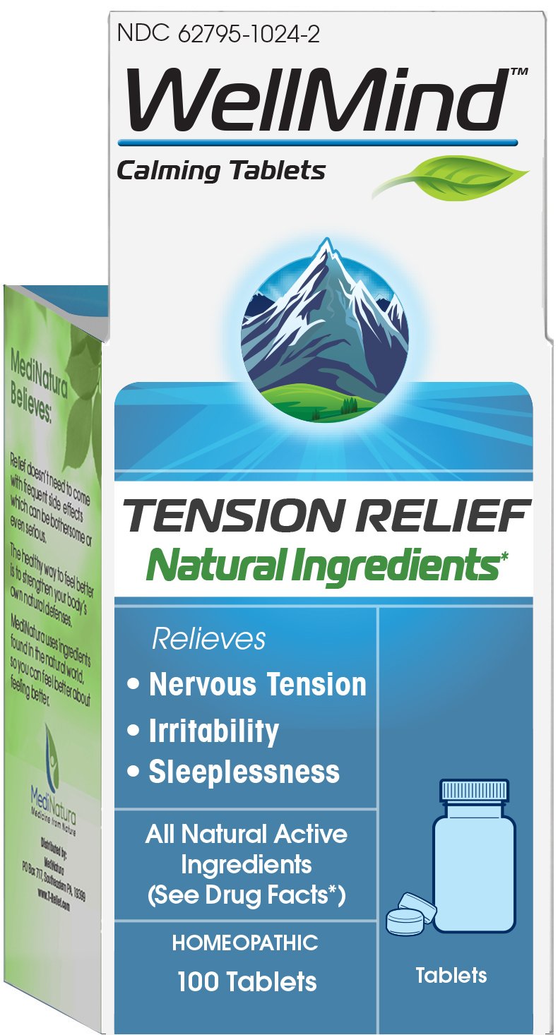 Amazon.com: Fitina Memory Support Supplement 100 Tablets: Health ...