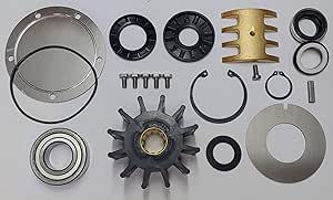 Amazon.com : SCP Sea Water Pump Rebuild Kit Fits Jabsco 6400-0004, 7420 ...