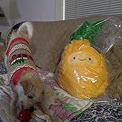 Amazon.com: Squishable / Comfort Food Pineapple 15" Plush: Toys & Games