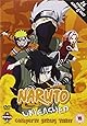 Naruto Unleashed Complete Series 1 [DVD]: Amazon.co.uk: Chie Nakamura ...