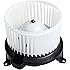 Amazon.com: SCITOO ABS Plastic Heater Blower Motor w/Fan HVAC Resistors ...