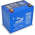 Amazon.com: Fullriver Battery DC85-12 : Health & Household