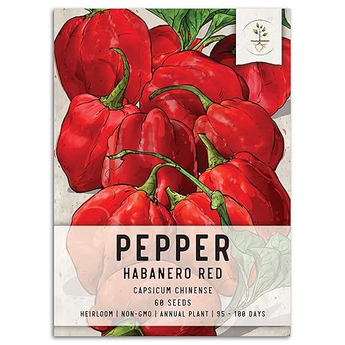 Seed Needs, Red Habanero Hot Pepper Seeds - 60 Heirloom Seeds for ...