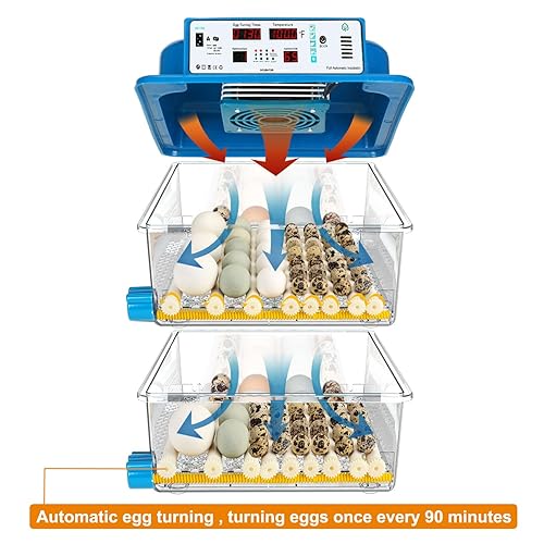 Incubator Temperature For Hatching Eggs China 46 Egg Incubator For