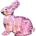 Amazon.com: Crystal Bunny Rabbit Valentines Day Sweet Gifts Animal ...