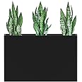 Amazon.com : Heavy-Duty Galvanized Steel Planter with Removable Insert ...