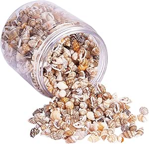 Amazon.com: PH PandaHall Small Seashells, 1400-1500Pcs 7-12mm Tiny ...