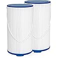 Amazon.com : Future Way Hot Tub Filter Replacement for Lifesmart ...