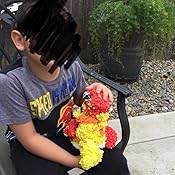 Amazon.com: Orb Molecules Ryan's World Dinosaur: Toys & Games