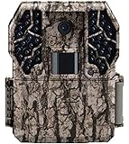 Amazon.com : Primos Bullet Proof 2 8MP Trail Camera : Sports & Outdoors