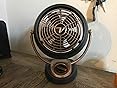 Amazon.com: Vornado VFAN Alchemy Vintage Fan, Gunmetal : Everything Else