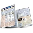 Amazon.com: Excel Advanced QuickStudy Laminated Reference Guide (QuickStudy Computer ...