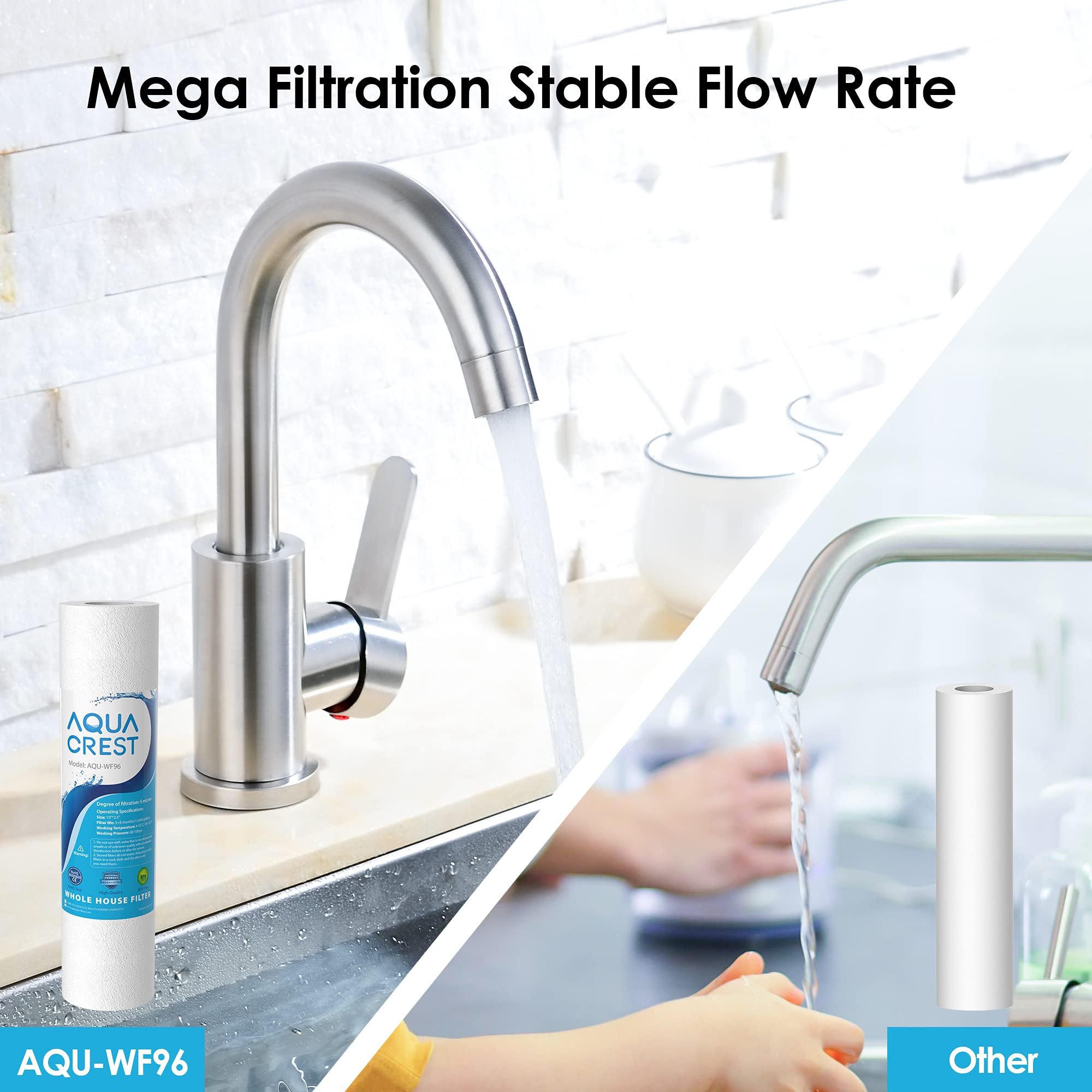 Mua AP110 Whole House Water Filter, Sediment Filter, 5 Micron ...